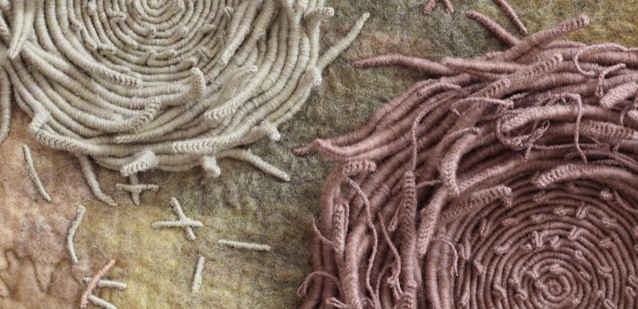 Solo Exhibition Down Under – seam